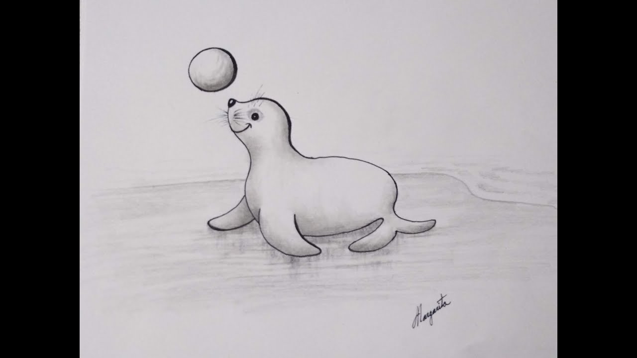 Como Dibujar una Foca muy fácil. Caricatura. How to draw a seal very ...