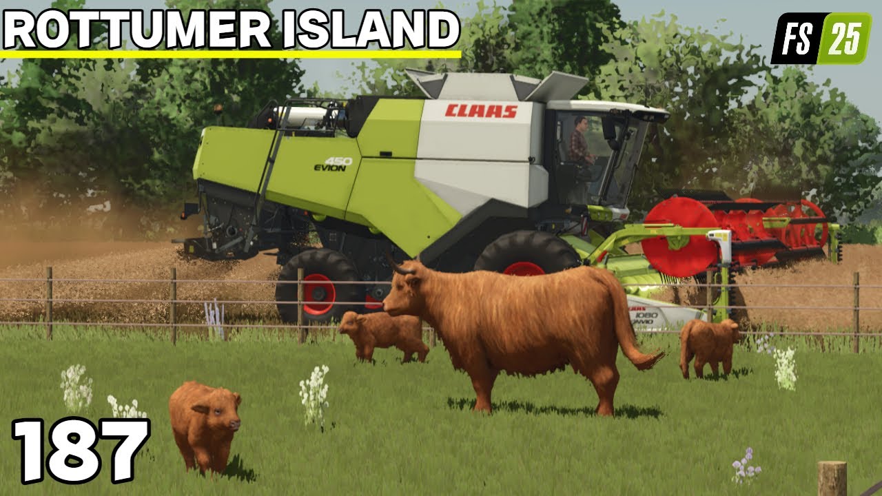 De Laatste Van Dit Jaar | Rottumer Island #187 | FS25 - YouTube
