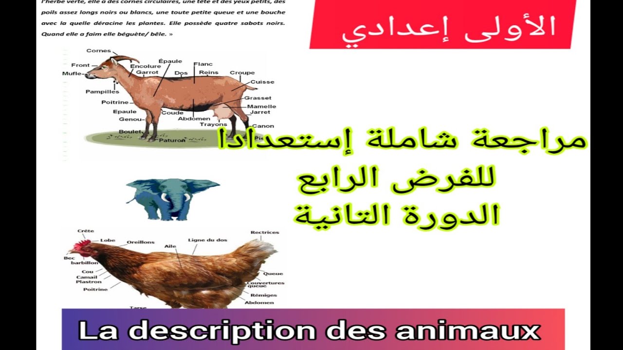 1ère année collège مراجعة شاملة للإمتحان الرابع الدورة التانية la ...