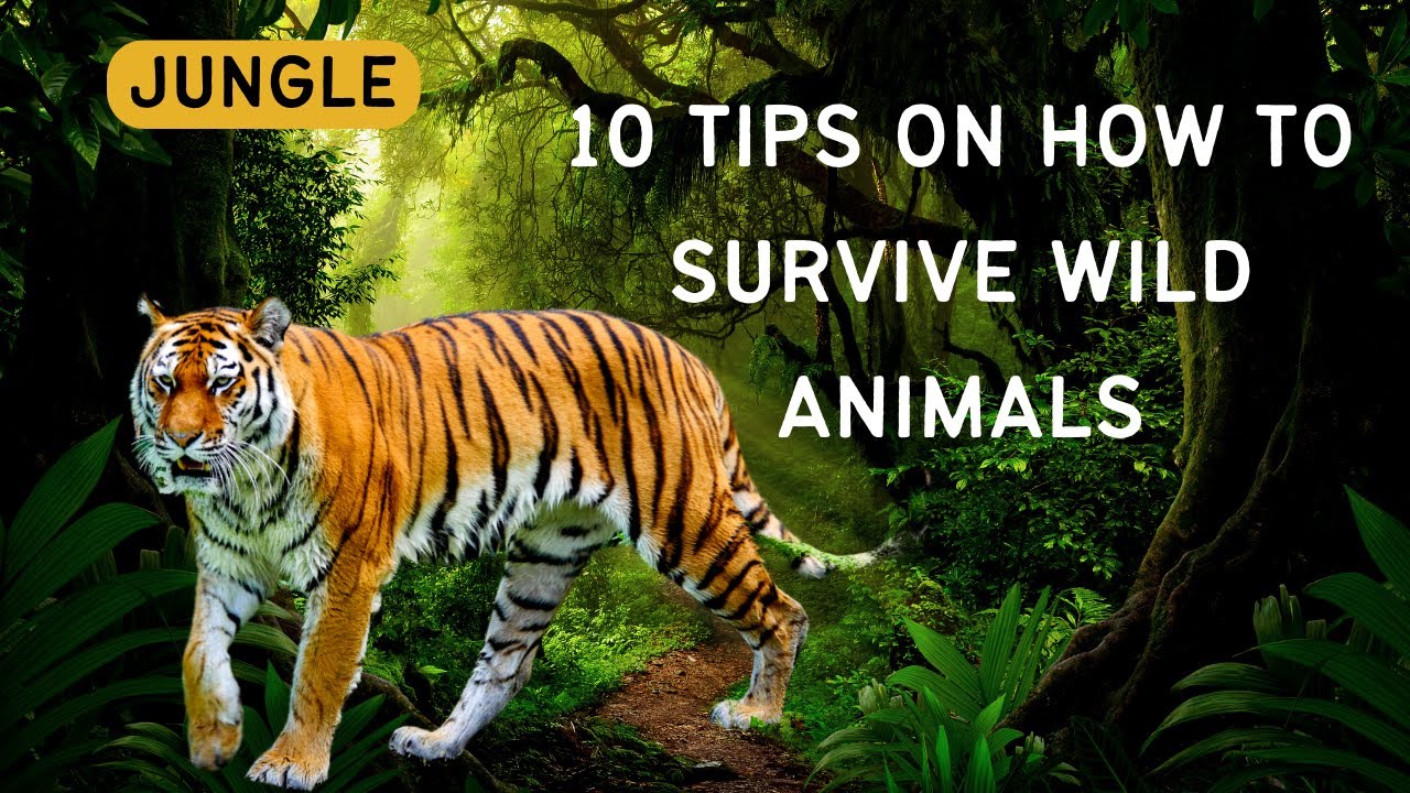 10 Tips on How to Survive Wild Animals - YouTube