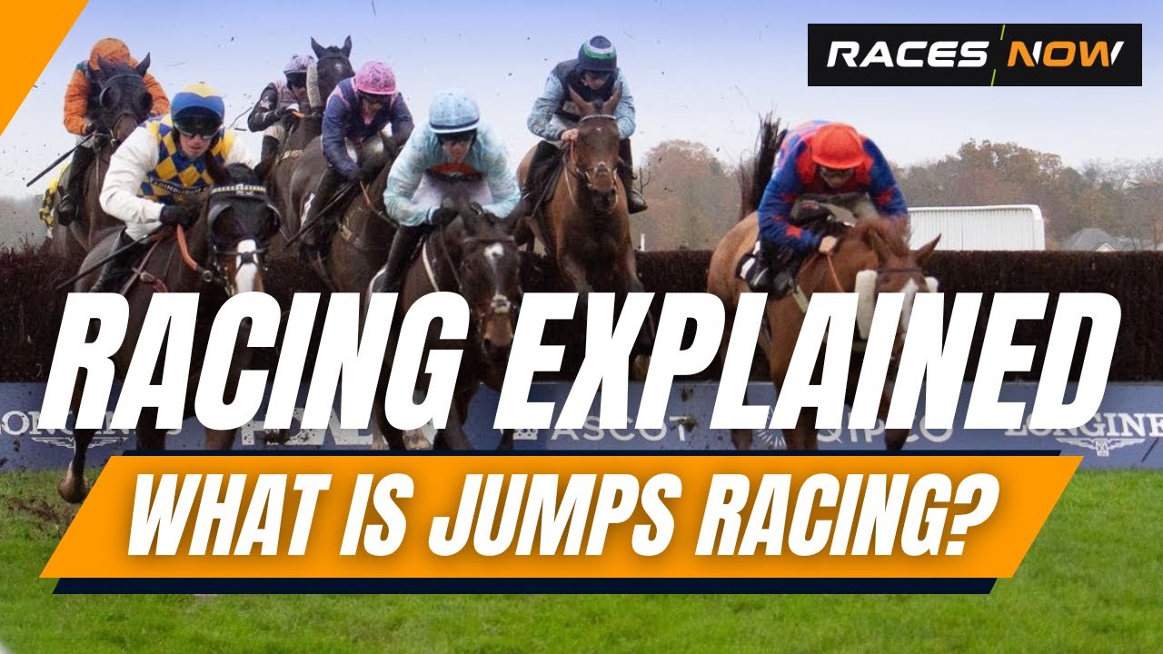What Is Jumps Racing? | Racing Explained - YouTube