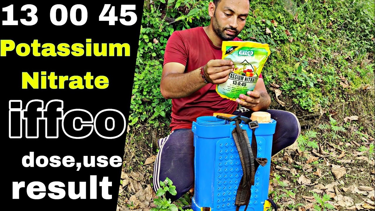 Potassium Nitrate 13 0 45 NPK iffco Fertilizer Praveen Thakur