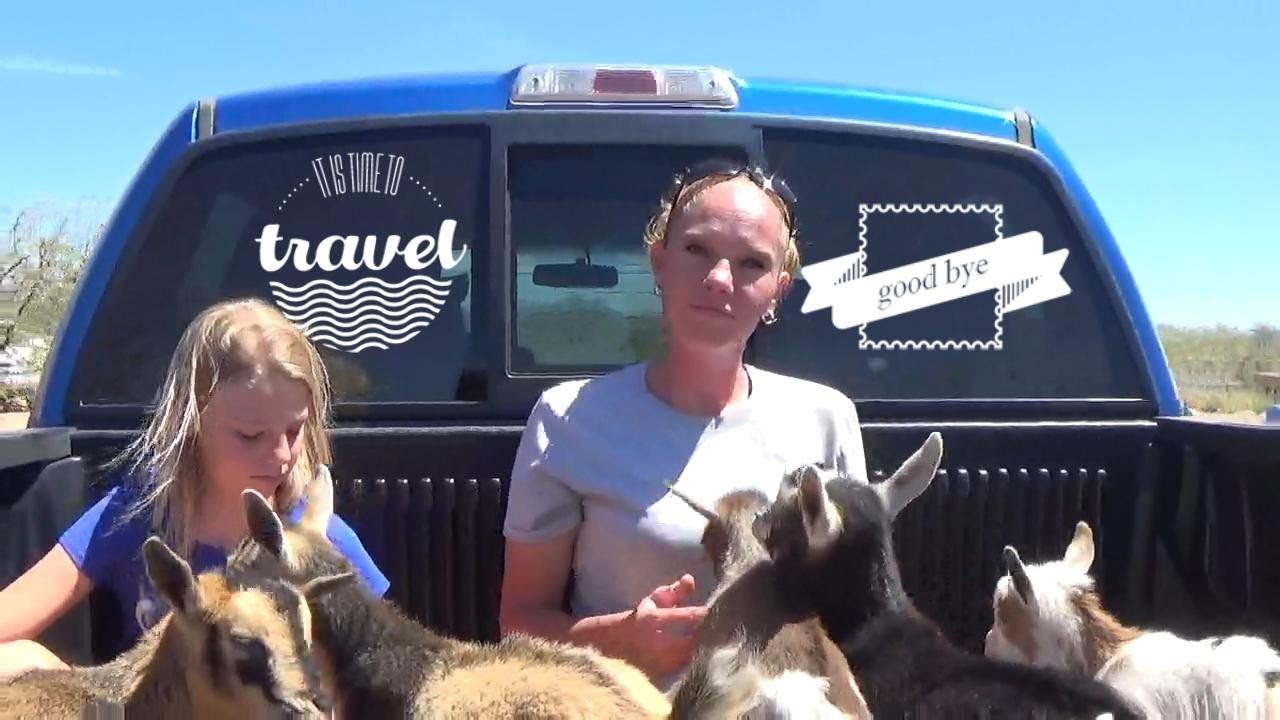 SAYING GOODBYE TO THE GOATS - YouTube