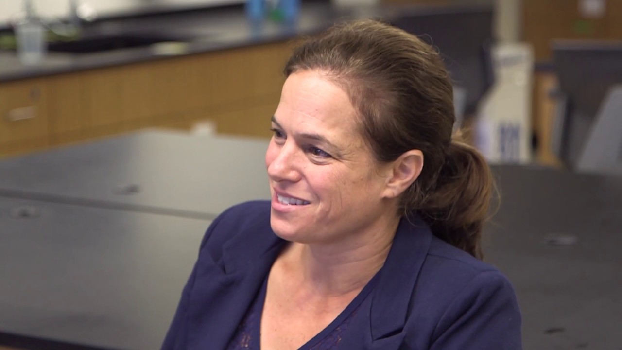 Georgetown Global Health Experts Discuss Modern-Day Pandemic - YouTube