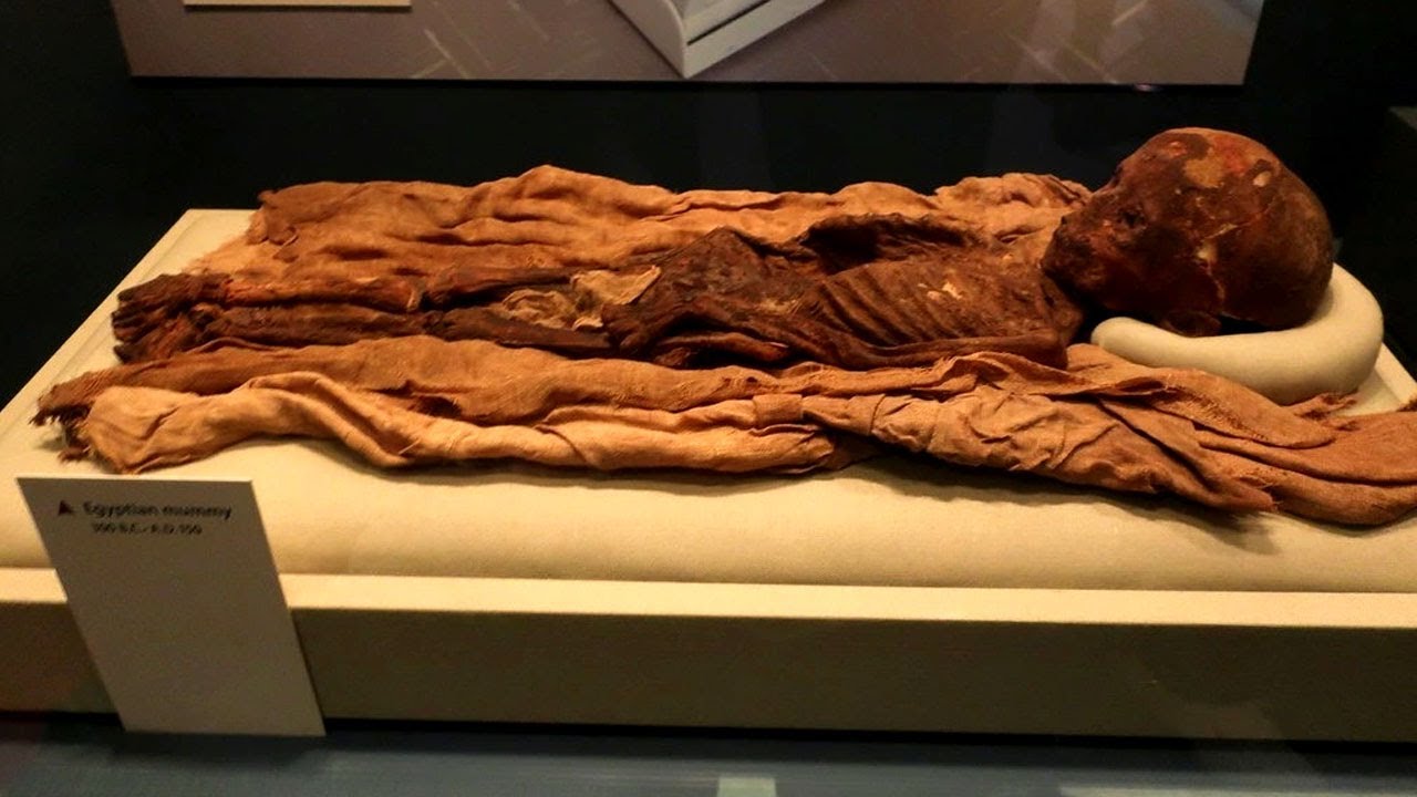 What are some of the most famous mummies ever discovered? - YouTube