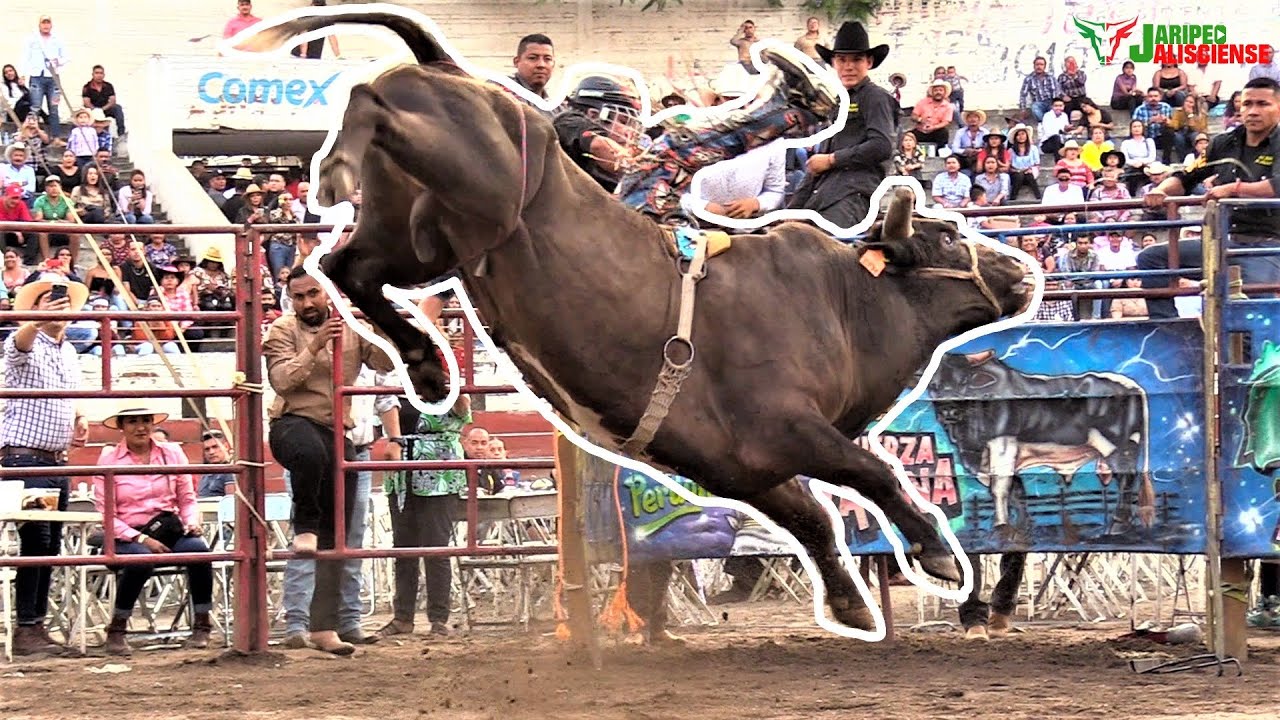 ¡GRAN NIVEL DE TOROS DE REPARO! RANCHO EL FARALLON EN EL CIERRE DE ...