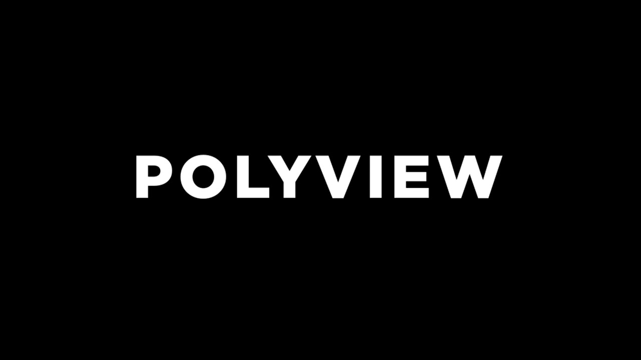 POLYVIEW 3D - How to Turn Videos into 3D Models! - YouTube