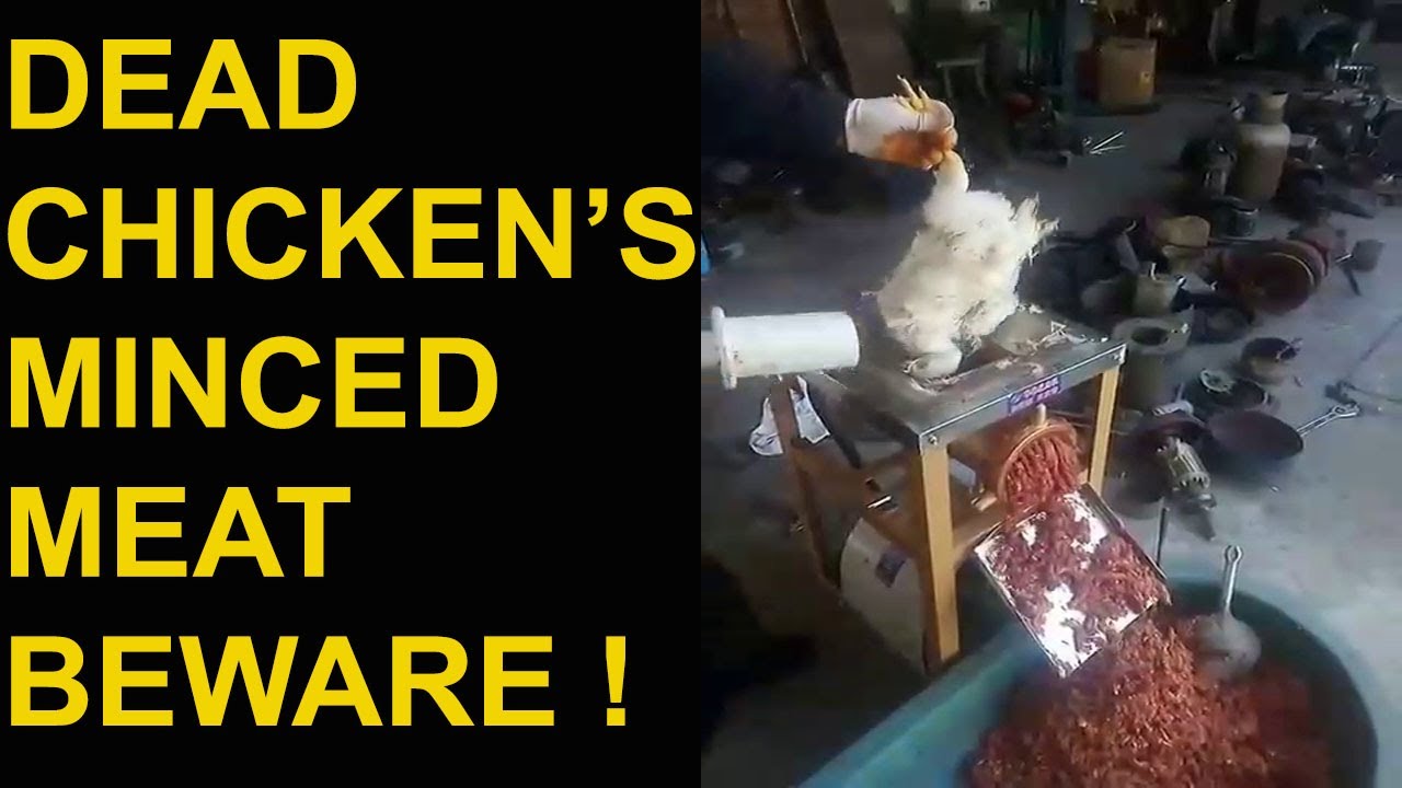 Dead Chicken's Minced Meat ll Chopped meat of dead chicken - YouTube