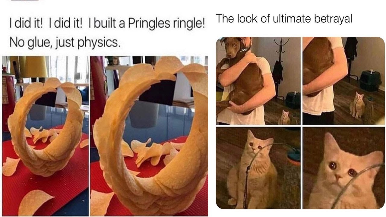 Funny Memes that Will Make You Laugh V06 | Fresh Memes | Memes Extreme ...