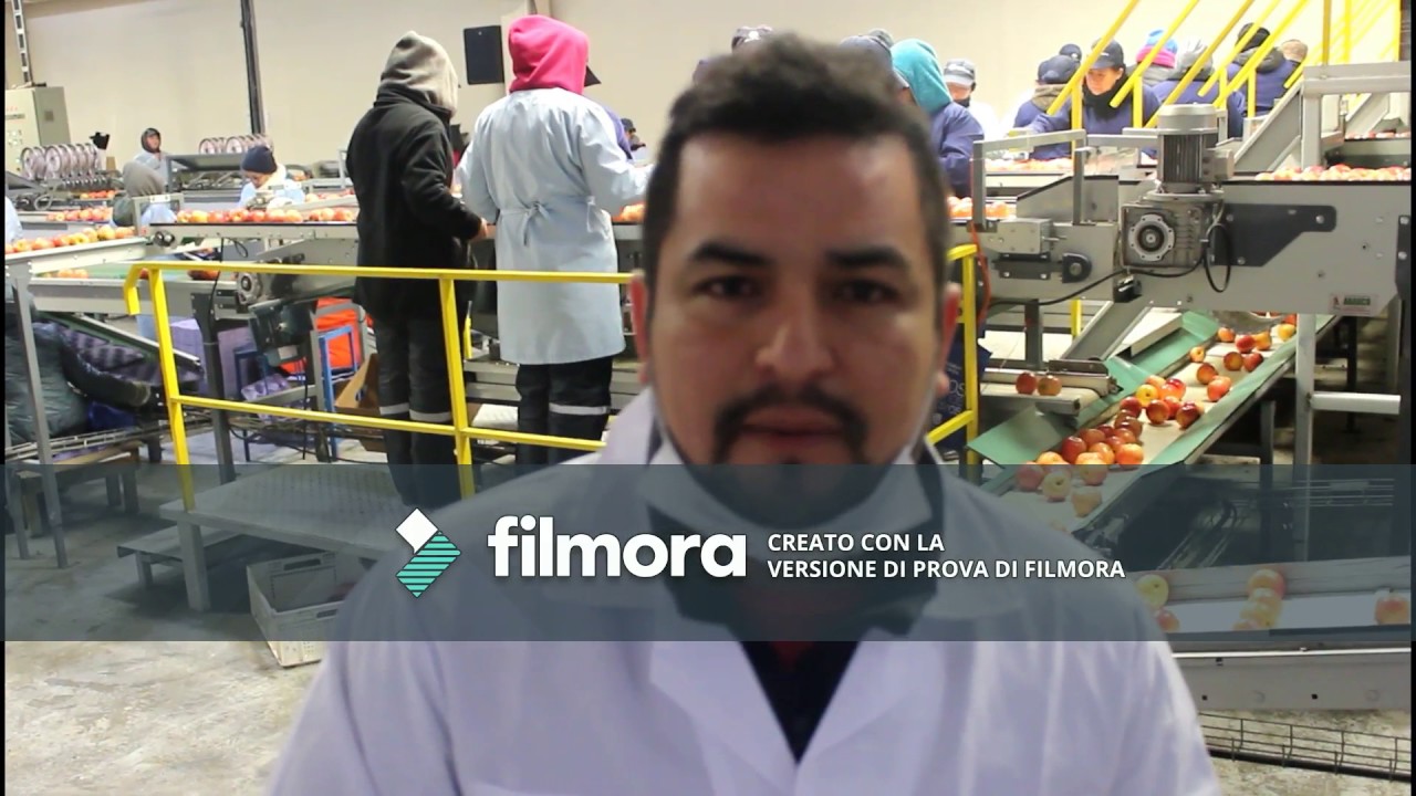 LINEA DE PROCESO MANZANA, DAVID DEL CURTO CURICO, CHILE - YouTube