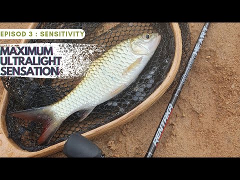 RENTAKA BLACK HEART : EPISODE 3_BFS STREAM FISHING - YouTube