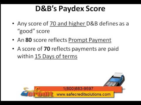 Dun and Bradstreet Paydex Credit Score Business Credit - YouTube