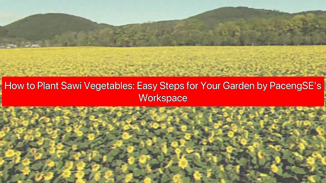 How to Plant Sawi Vegetables: Easy Steps for Your Garden by PacengSE's ...