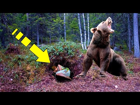 Пропавшую девушку нашли в берлоге медведя. Невозможно поверить, что с ...