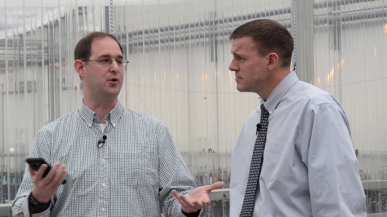 Shipment Tracking for Ball Seed WebTrack - YouTube