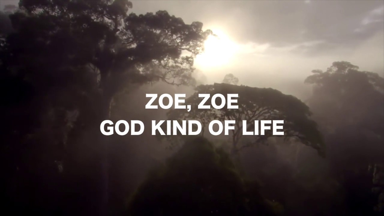 Lydia Charles - Zoe (God kind of life) official lyric video - YouTube