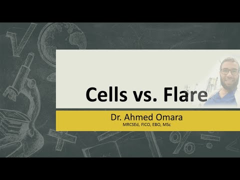 Aqueous flare vs. cells - YouTube