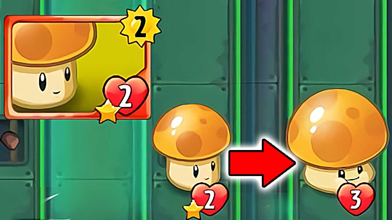 Sun Shroom Plants Vs Zombies