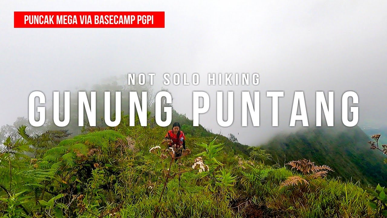 NOT SOLO HIKING PUNCAK MEGA GUNUNG PUNTANG 2223 MDPL | TEKTOK SELOW ...