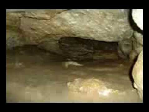 Citrus County Caves - YouTube