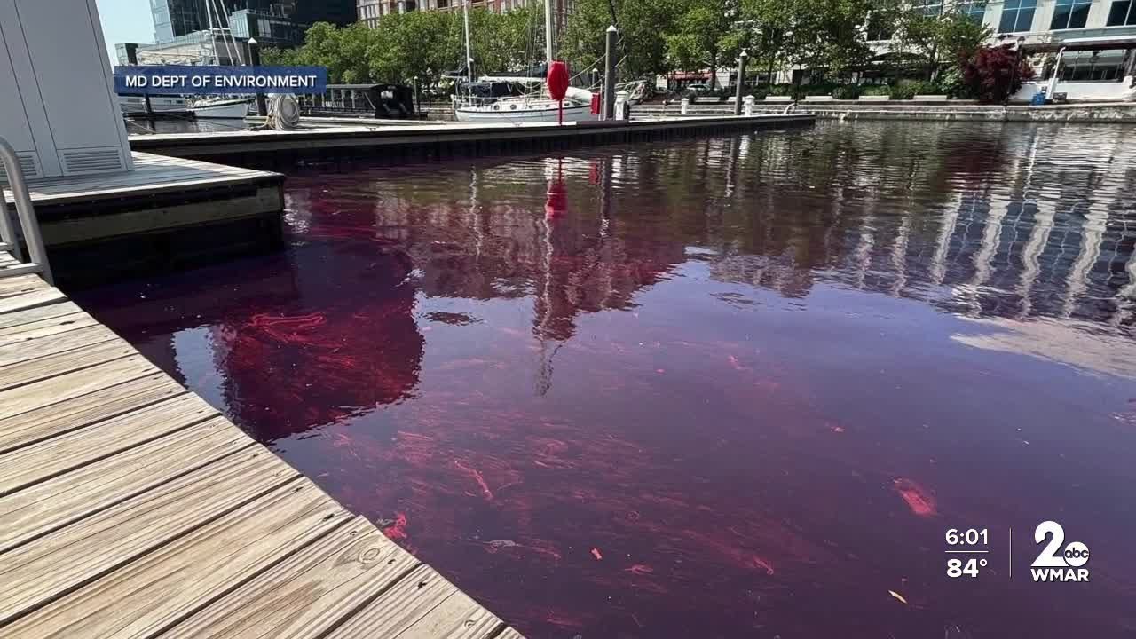 Cleanup efforts continue after 2,000 gallon fuel spill in Baltimore ...