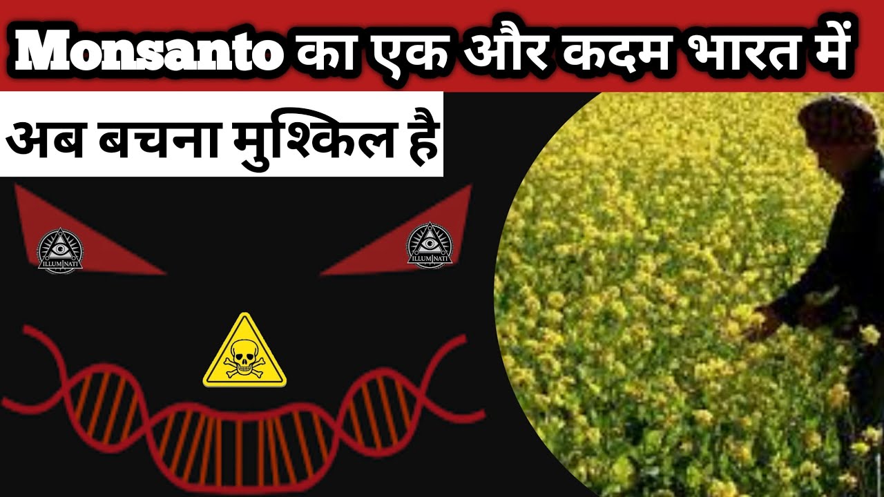 Monsanto का एक और कदम भारत में | GM food crop | GM crop | GMO food ...