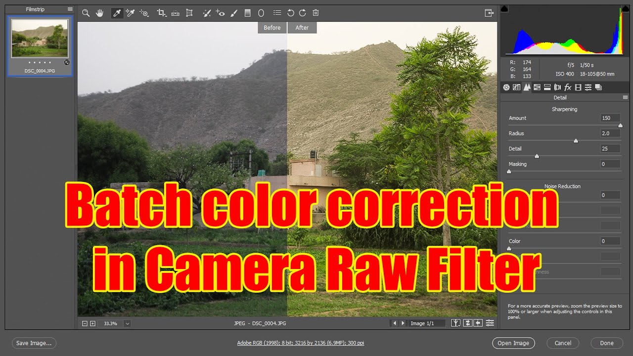 Batch color correction in camera raw filter in photoshop | The Imaging ...