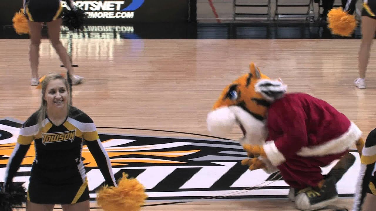 MCOM481 Doc The Tiger - YouTube