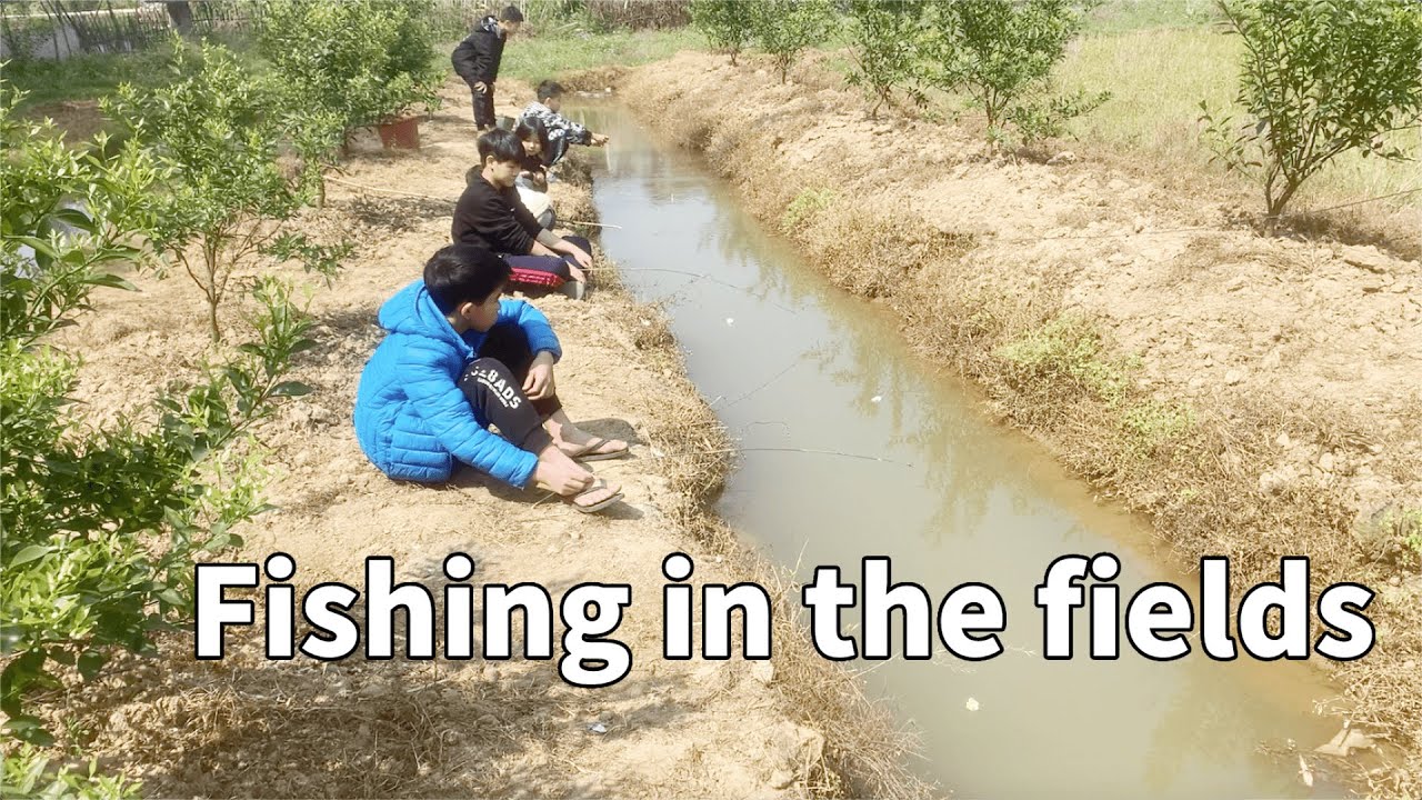 17 Children fishing in the field | Come and see the fishing skills of ...