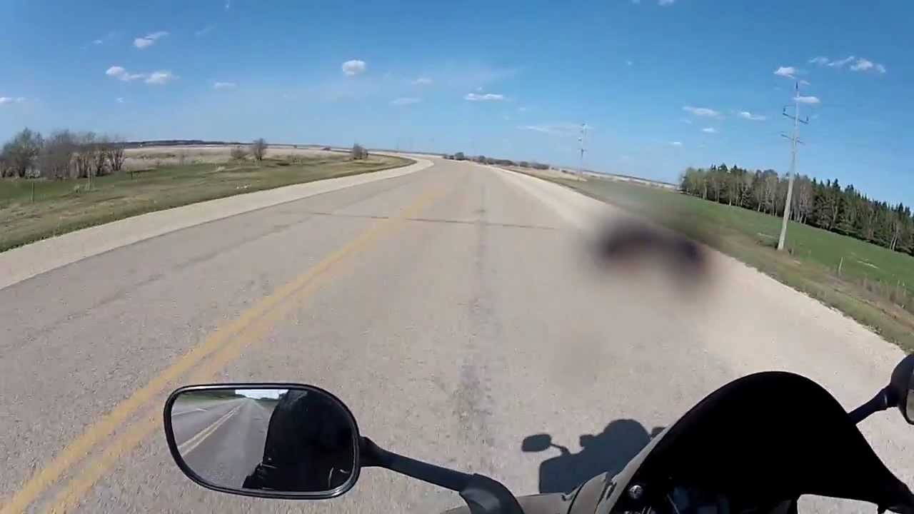 Yamaha R1 Top Speed on GPS - YouTube