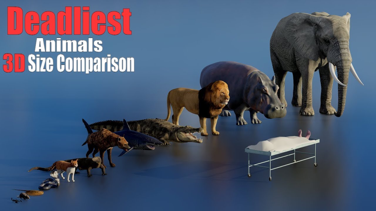 Animals 3D Size Comparison: Human Fatalities per Year 🌍🐍🦟 - YouTube