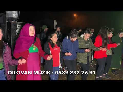 HALAYIN İNCİSİ IĞDIR DÜĞÜNLERİ 2020 dilovan müzik new video (teqıli)