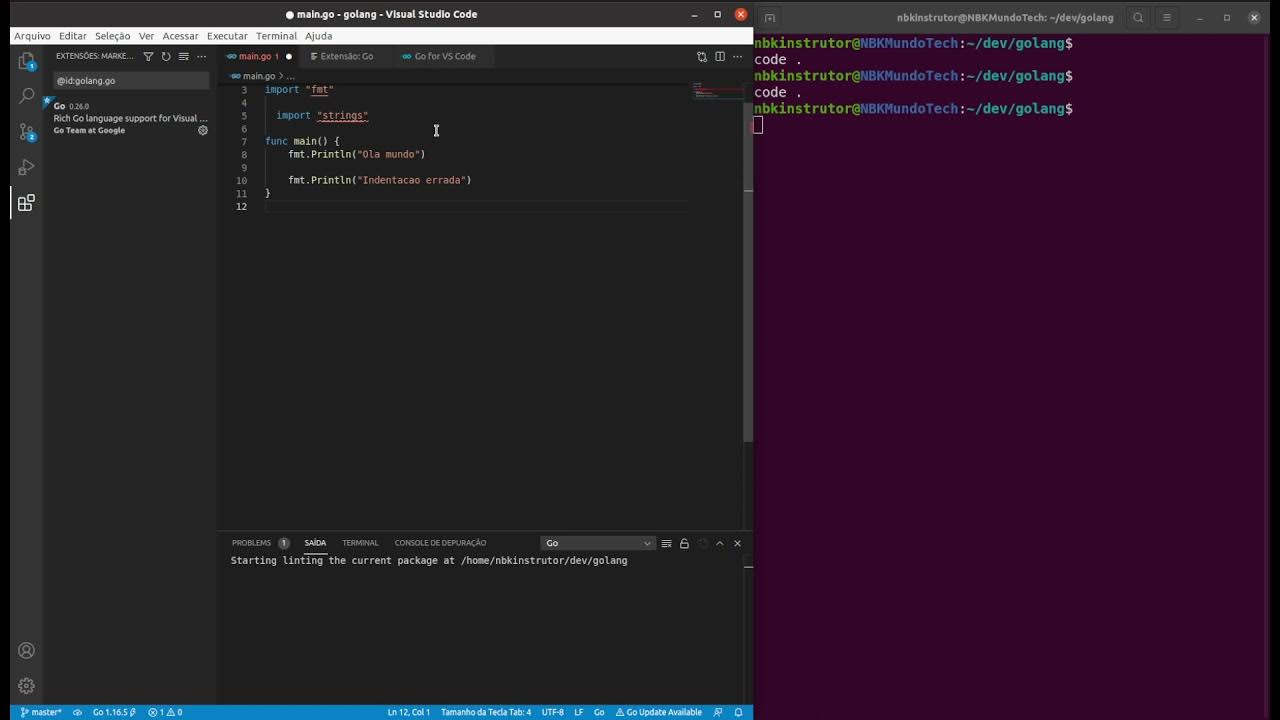 0020-05 Ambiente de Desenvolvimento IDE de Golang no Visual Studio Code ...