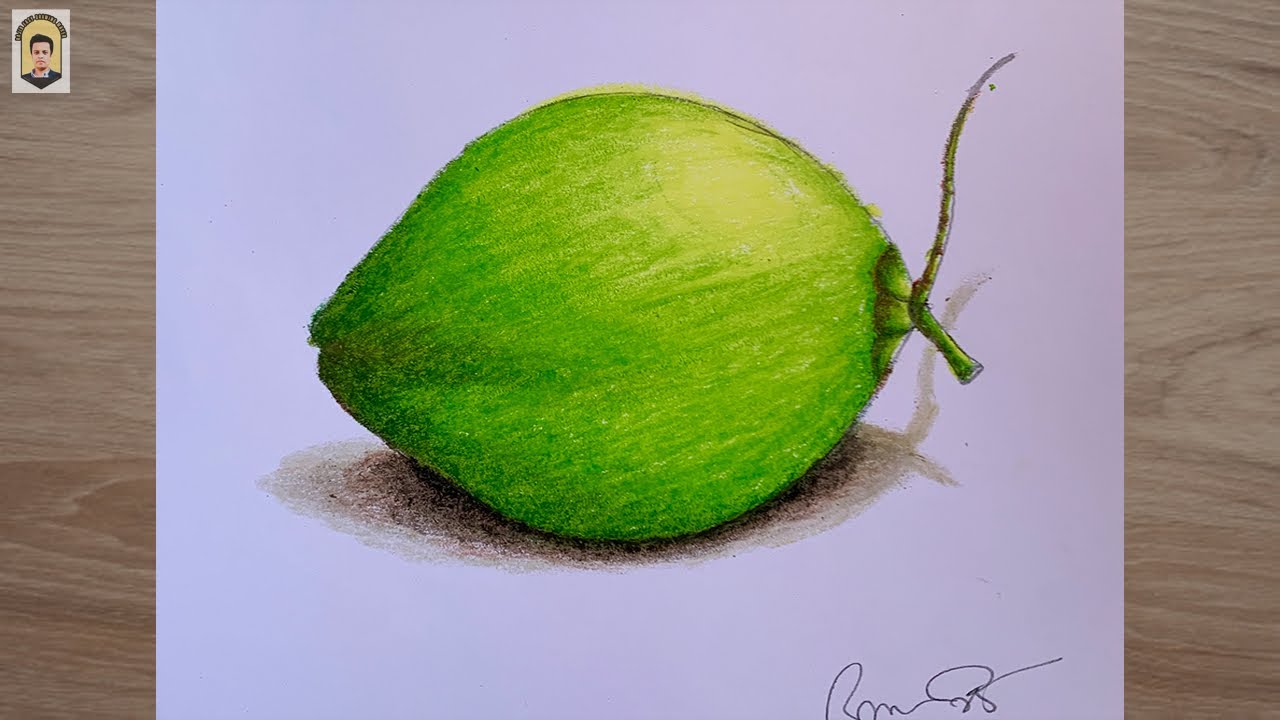 how to draw coconut | coconut drawing | green coconut drawing - YouTube
