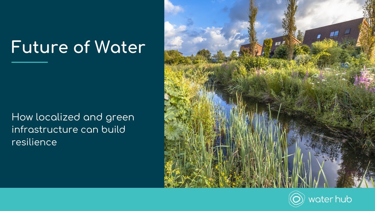 The future of water: how localized and green infrastructure can build ...