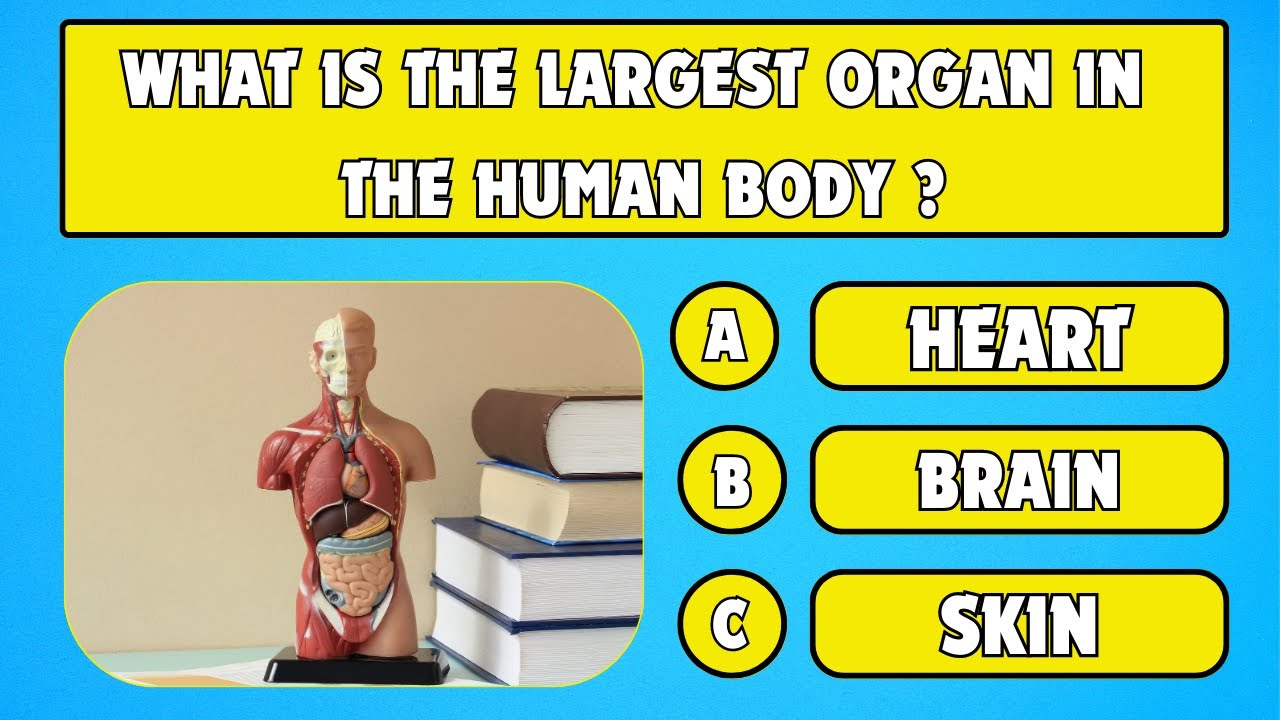 How Good Is Your General Knowledge? | Trivia quiz general knowledge ...