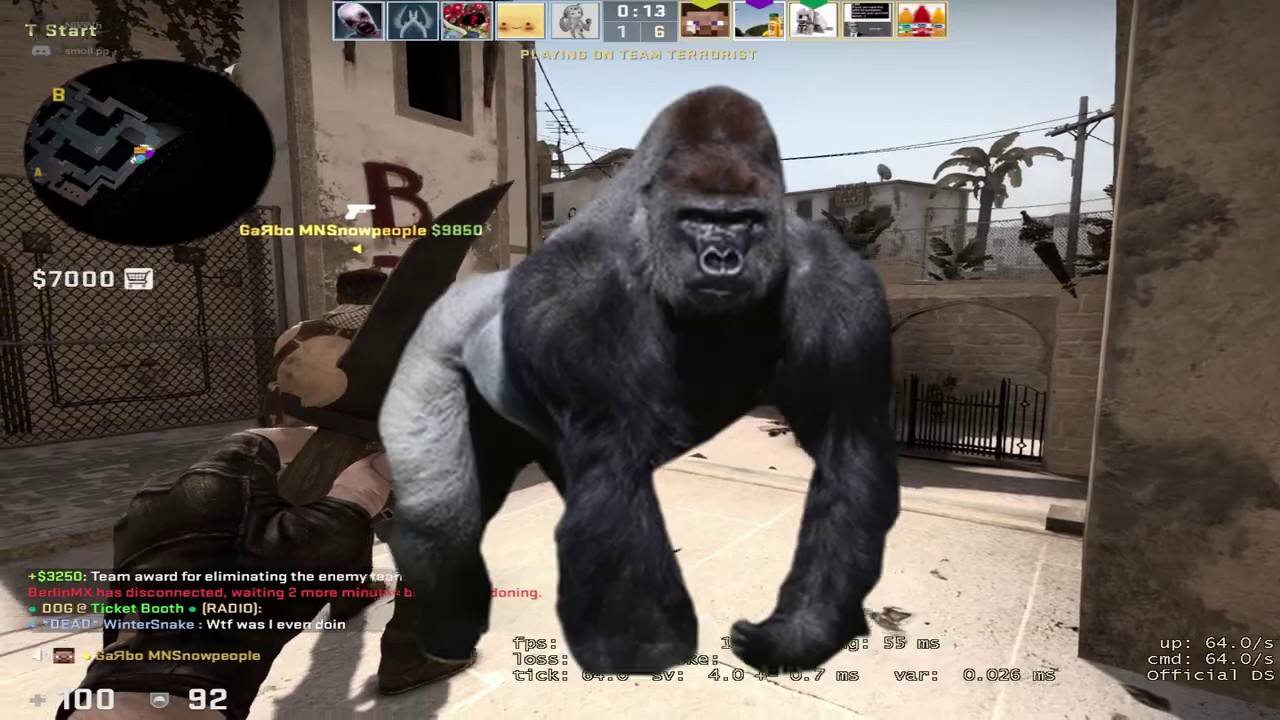 Becoming Monkey in CS:GO - YouTube