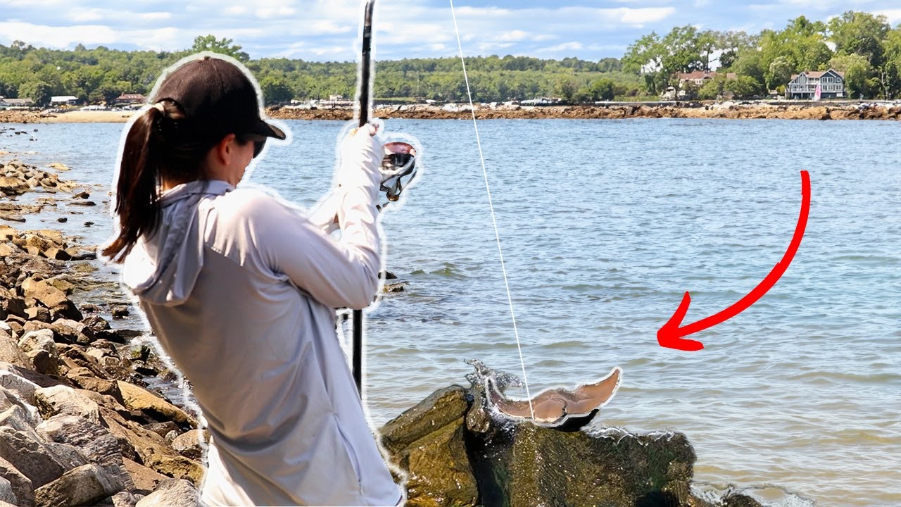 This Chesapeake Bay Fish Strength will Surprise You! - YouTube