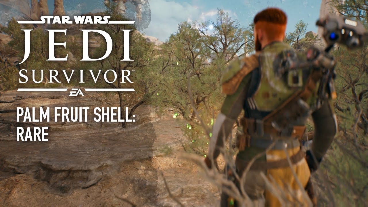 STAR WARS Jedi: Survivor - Palm Fruit Shell: Rare - Seed Pods - YouTube