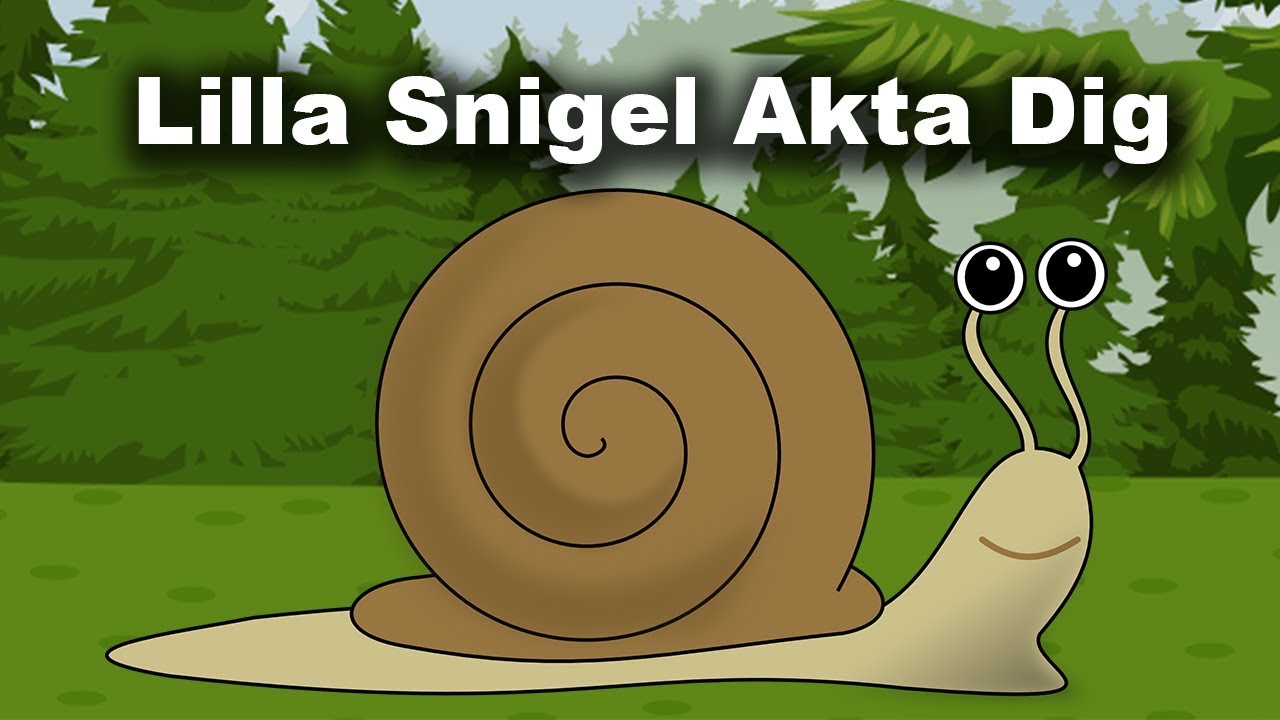 Lilla Snigel Akta Dig - Roliga Barnkanalen - YouTube