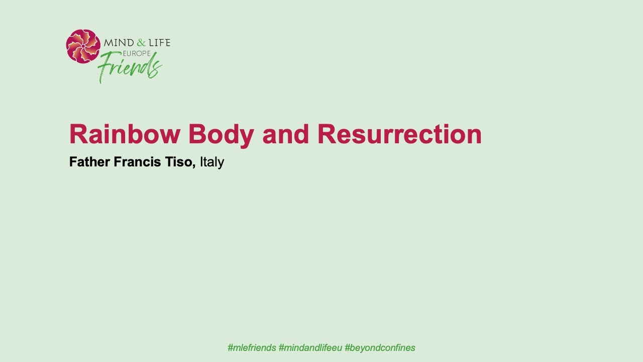 MLE Friends webinar: "Rainbow Body and Resurrection" with Father ...
