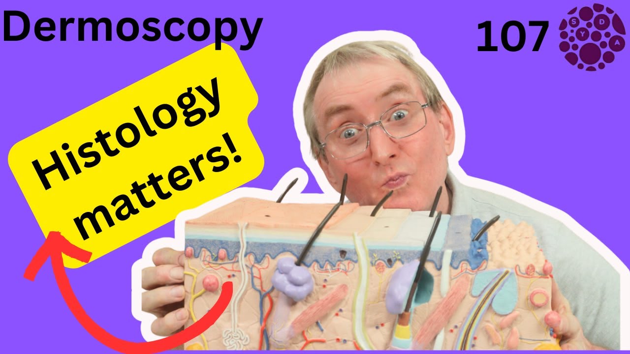 Histology basics for Dermoscopy - YouTube