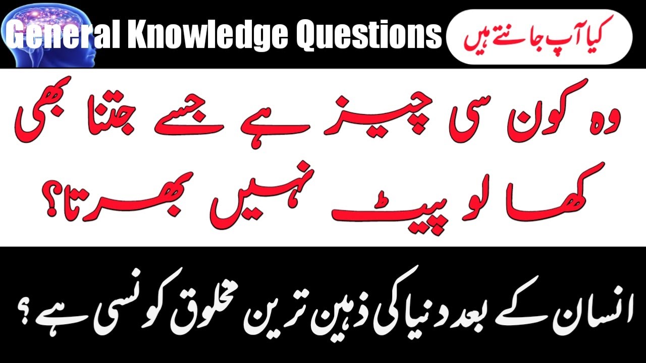 General Knowledge Questions And Answers In Urdu 2022 | Interesting ...