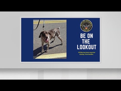 Police dog missing in Atlanta | Details - YouTube