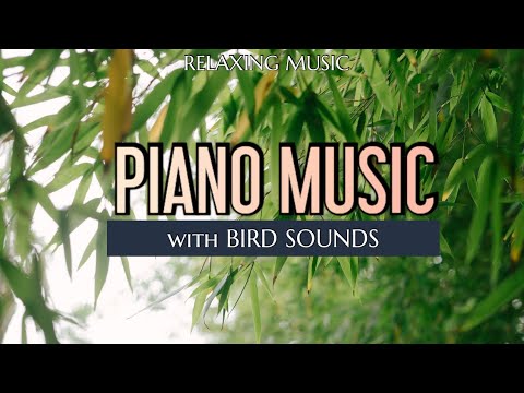Escape to Nature with Soothing Piano Music and Calming Bird Sounds| #relaxingmusic #naturesounds