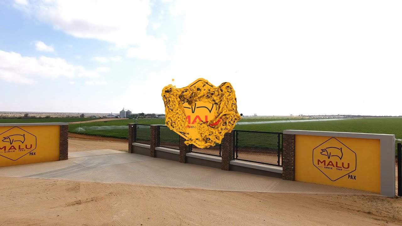 MALU Abattoir - YouTube