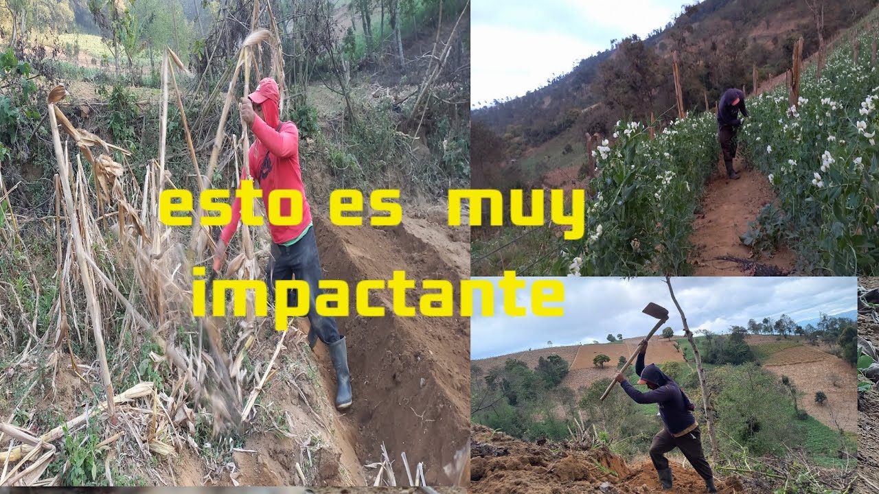 asombroso lo que asen - YouTube