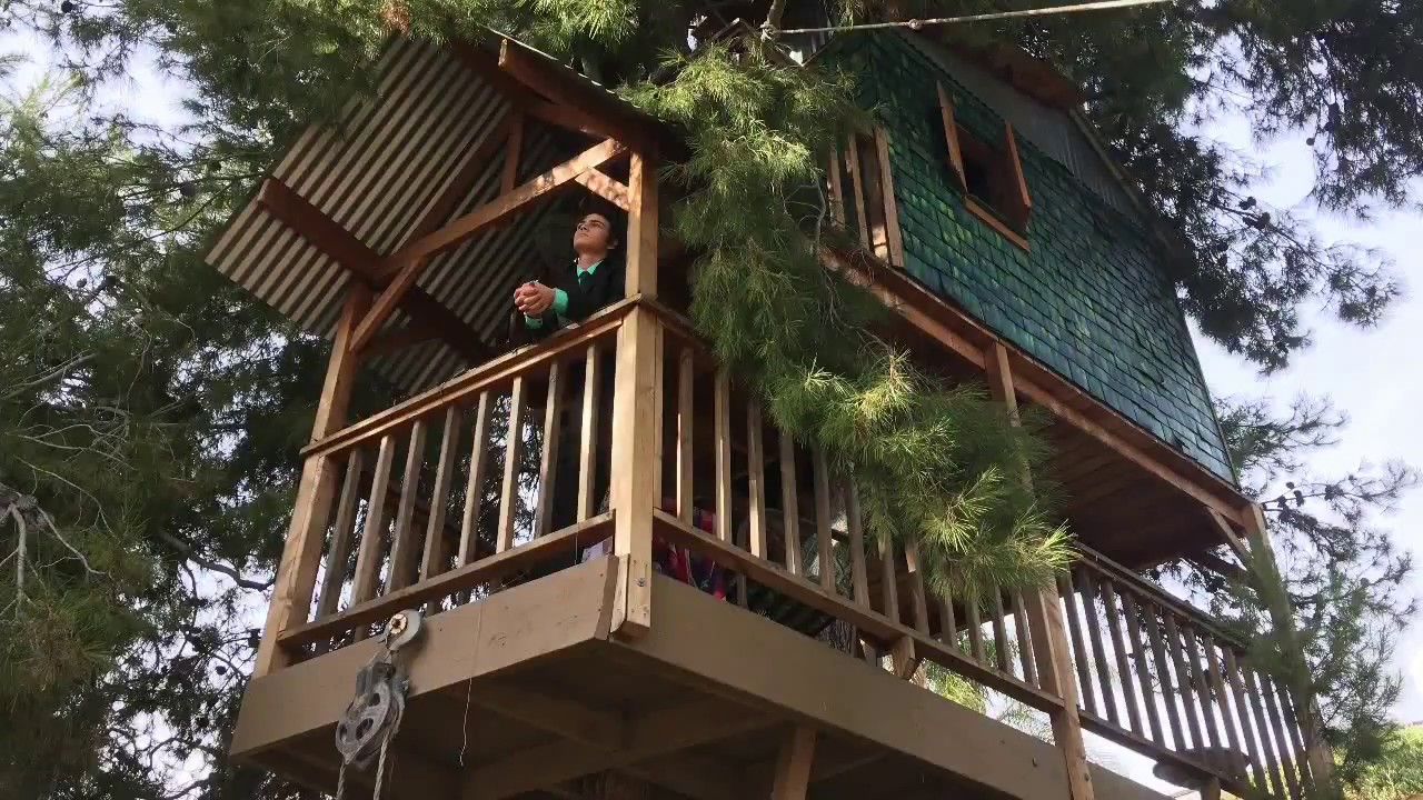 THREE-STORY TREEHOUSE NOW ON THE MARKET! HAYESREALTY.COM - YouTube