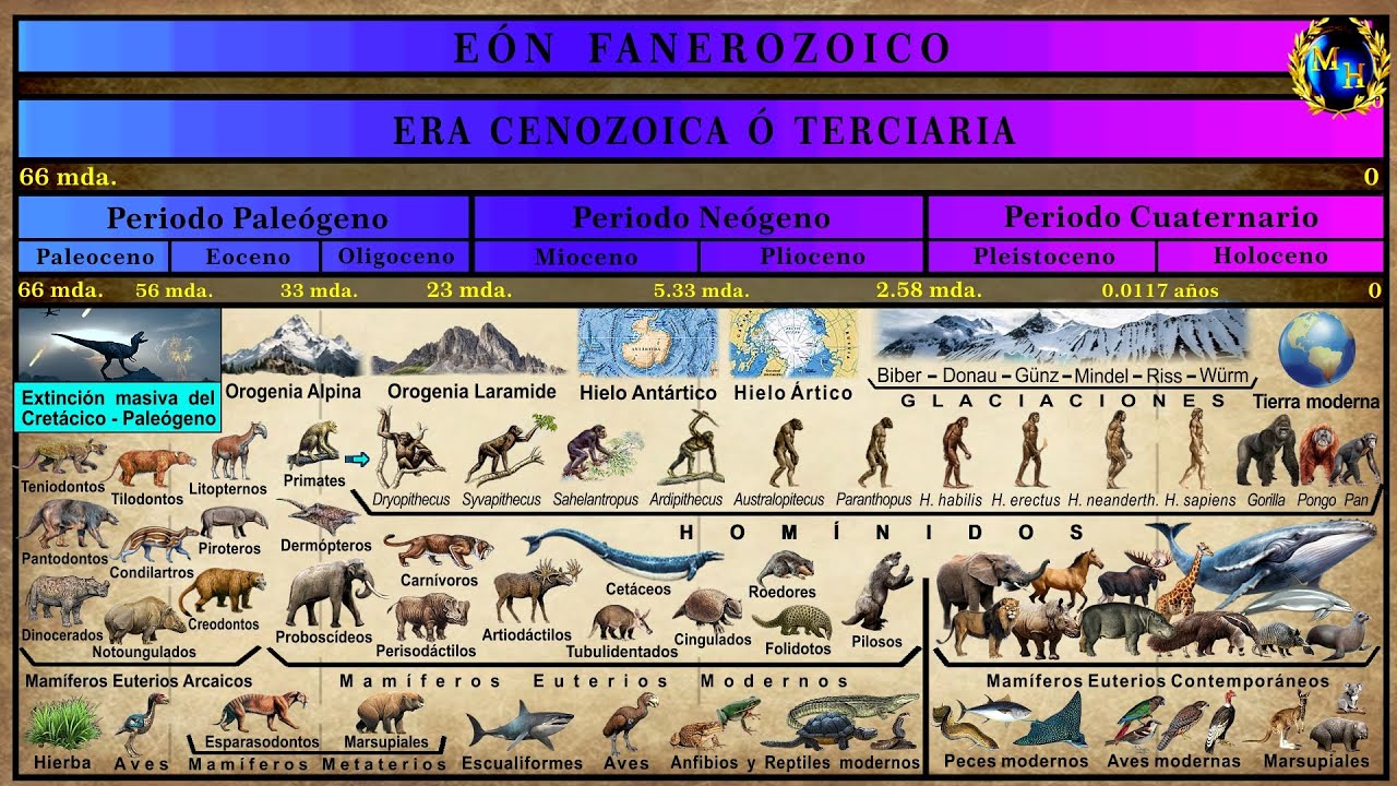Las Eras Geológicas 5. La Era Cenozoica - YouTube Las Eras Geológicas 5. La Era Cenozoica - YouTube