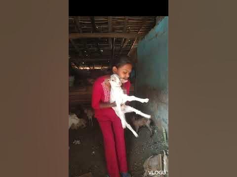 morning task #tag jyoti k vlogs - YouTube